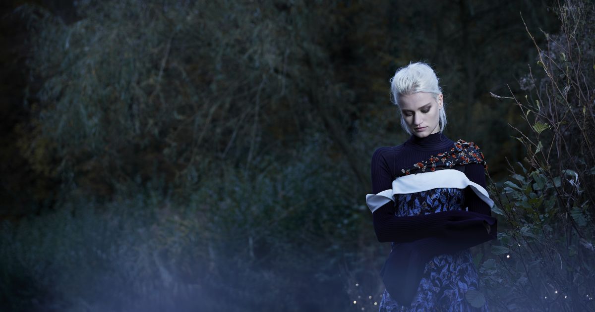 In the Woods | David Carette